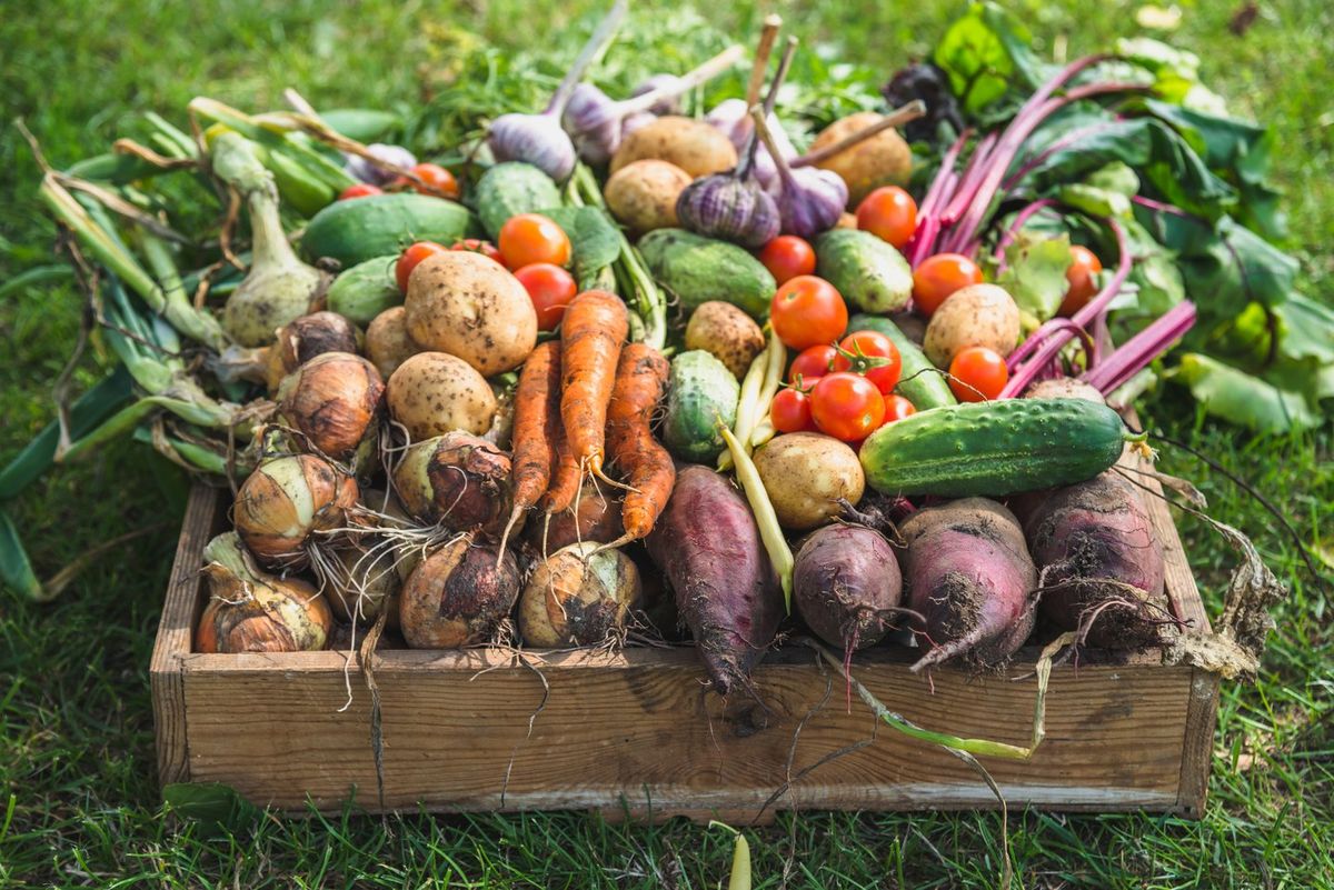 'Dirty Dozen' list unveiled for 2026 - here are all the foods you ...