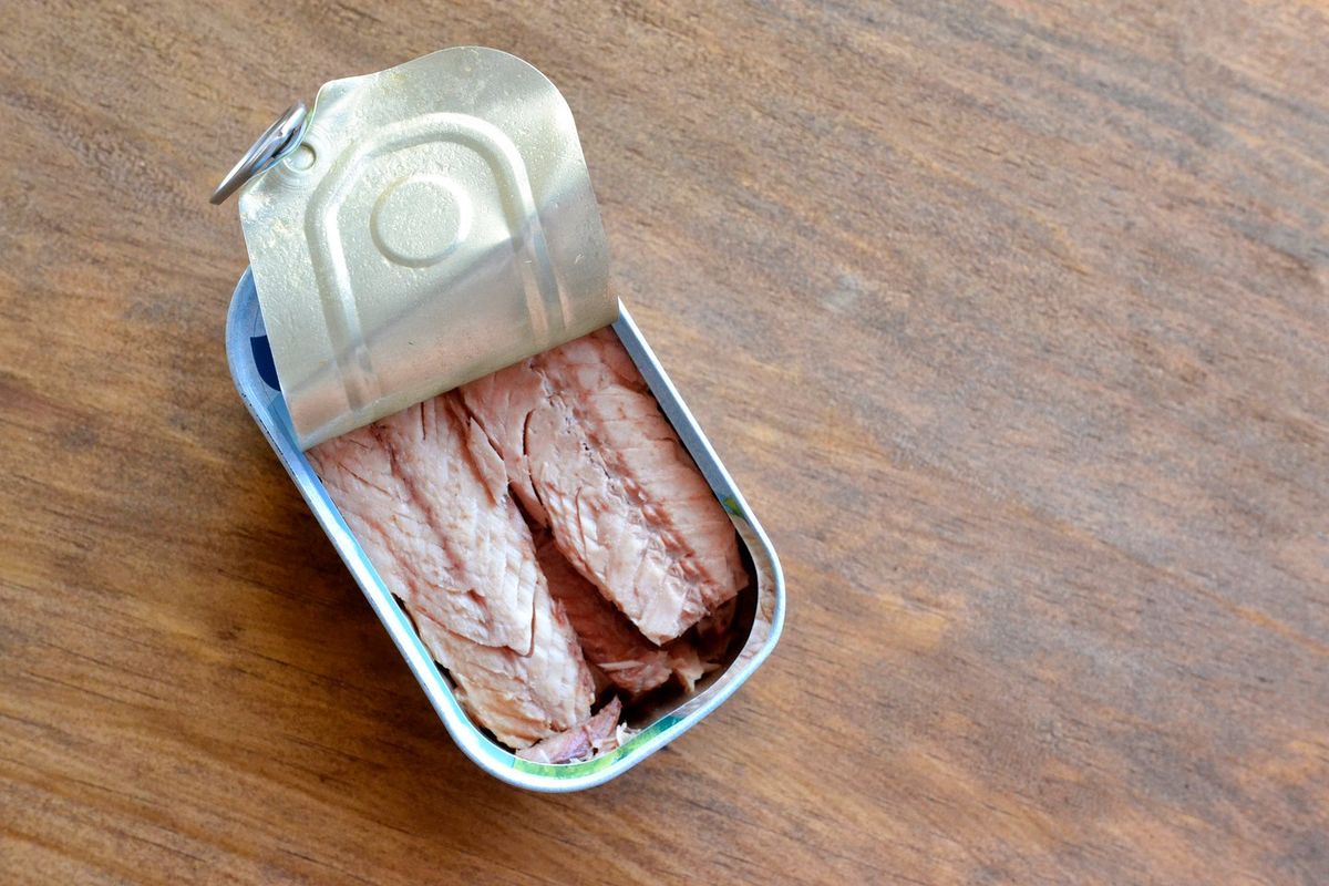 Why mackerel has become the UK's most controversial fish as it's banned ...