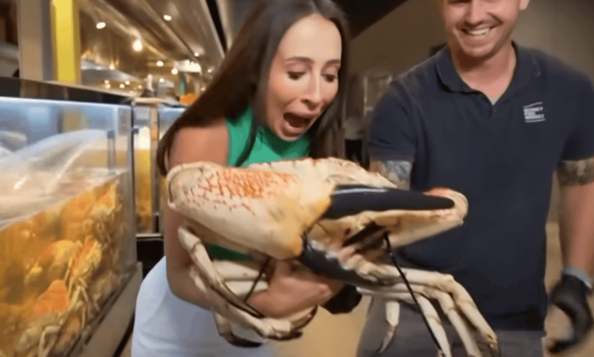 Reporter hospitalised by crab incident now requires surgery
