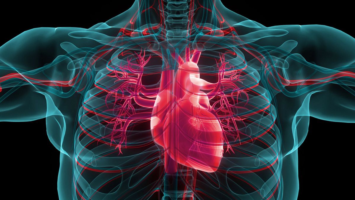 New 9-step dietary guidelines released by American Heart Association