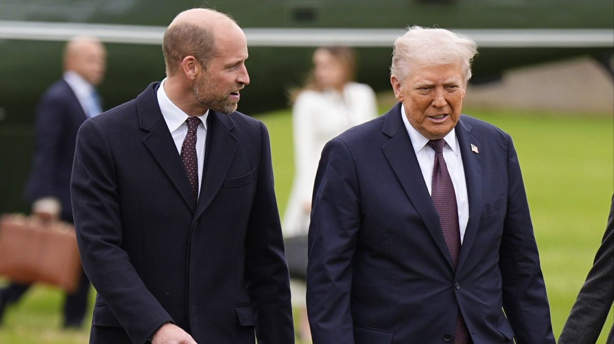 Lip reader ‘reveals’ what Donald Trump asked Prince William after ...