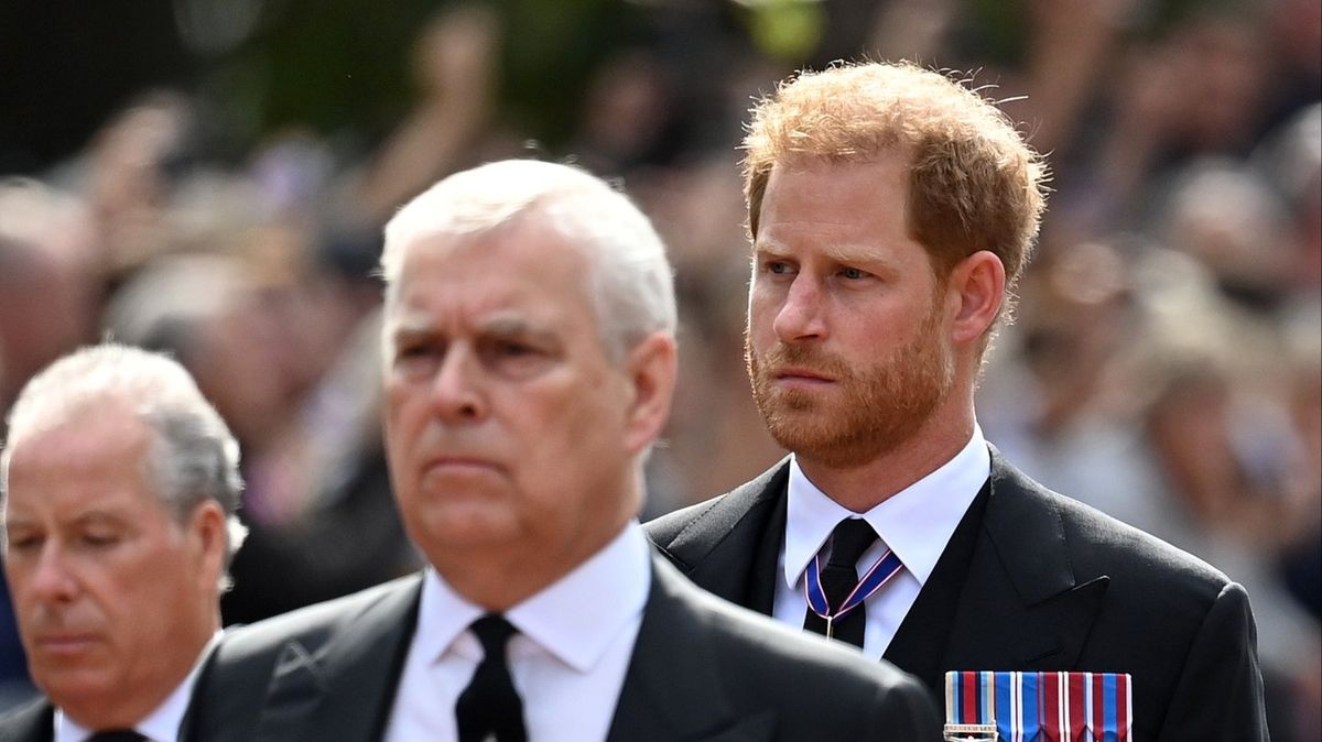 Prince Harry breaks silence on claim he punched uncle Prince Andrew ...