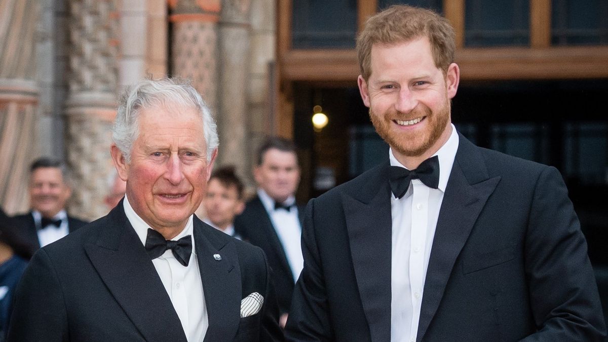 Prince Harry makes very surprising admission after King Charles reunion