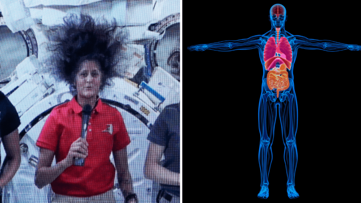 Disturbing reality of what 9 months in space can do to your body as ...