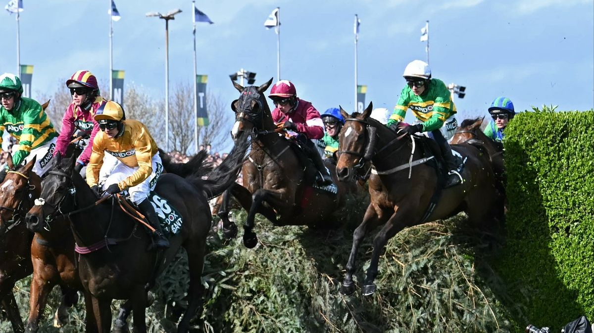 Grand National jockey banned after riding injured horse and failing to ...