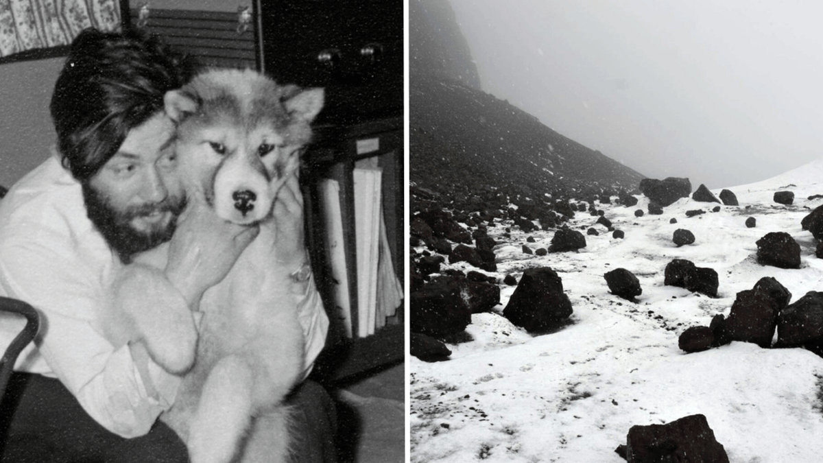 Man who died after falling into Antarctic glacier finally identified 65 ...