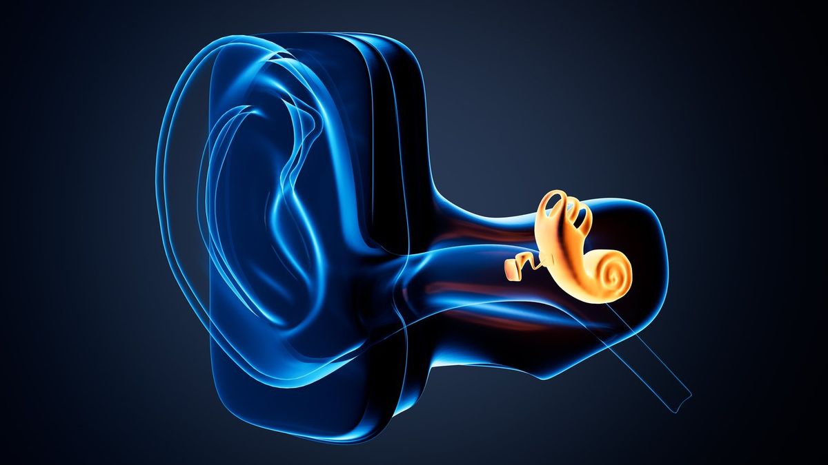 Medical expert gives warning to anyone who cleans their ears with ...