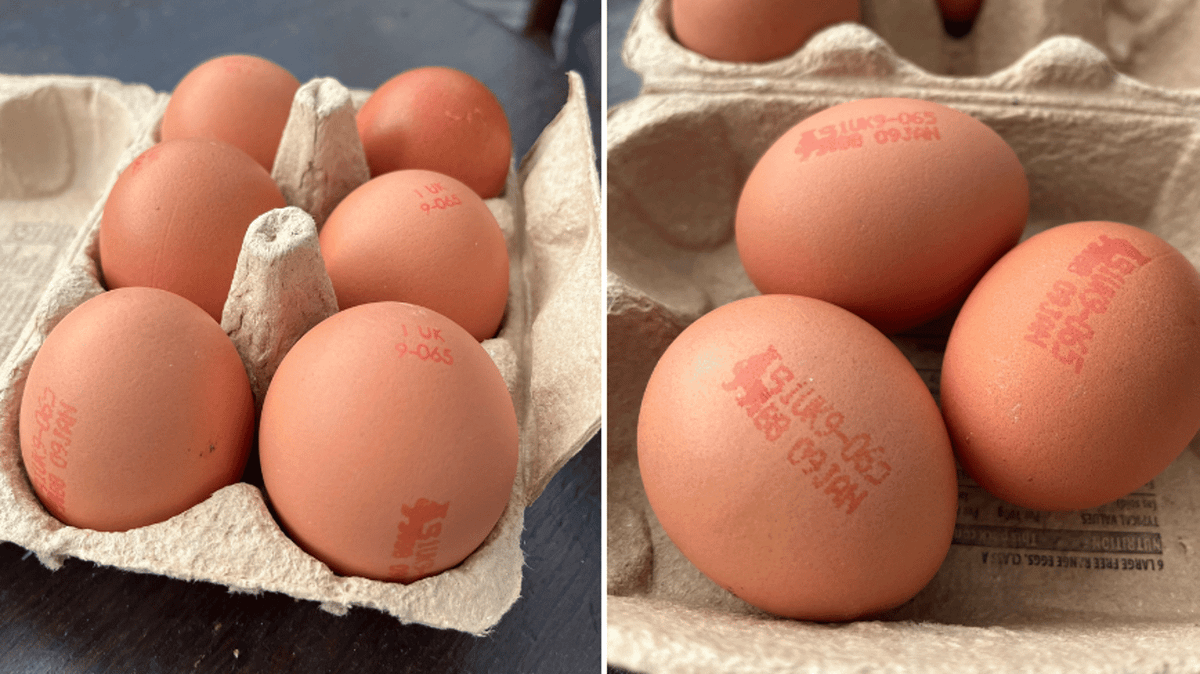 'Secret' code that every single egg has stamped on it and what it ...