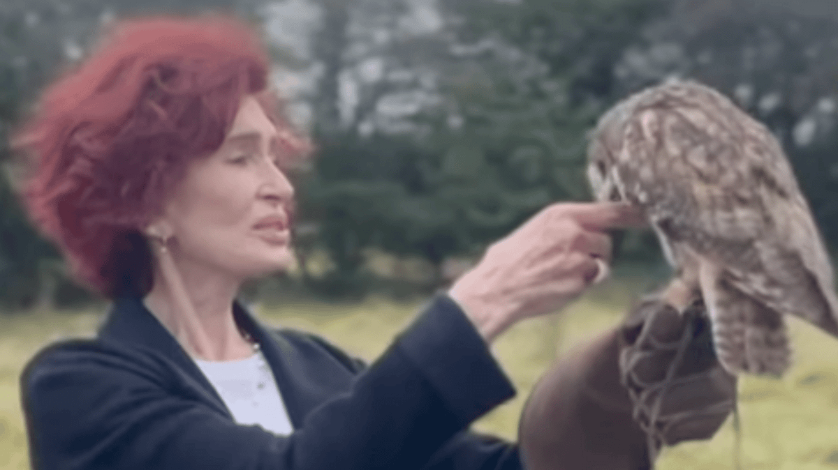 Sharon Osbourne seen for first time since Ozzy’s funeral as Kelly posts ...