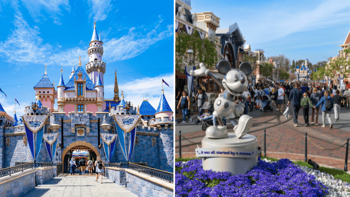 Disneyland employee, 60, dies after tragic golf cart accident whilst ...