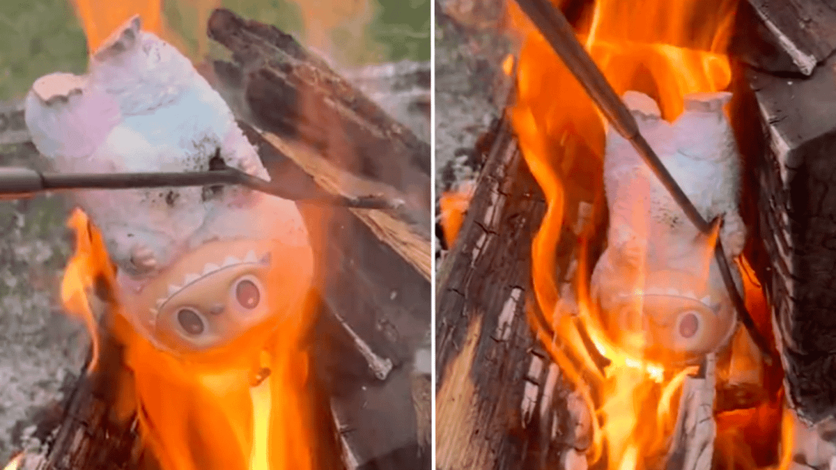 Disturbing reason people are now burning their Labubu dolls