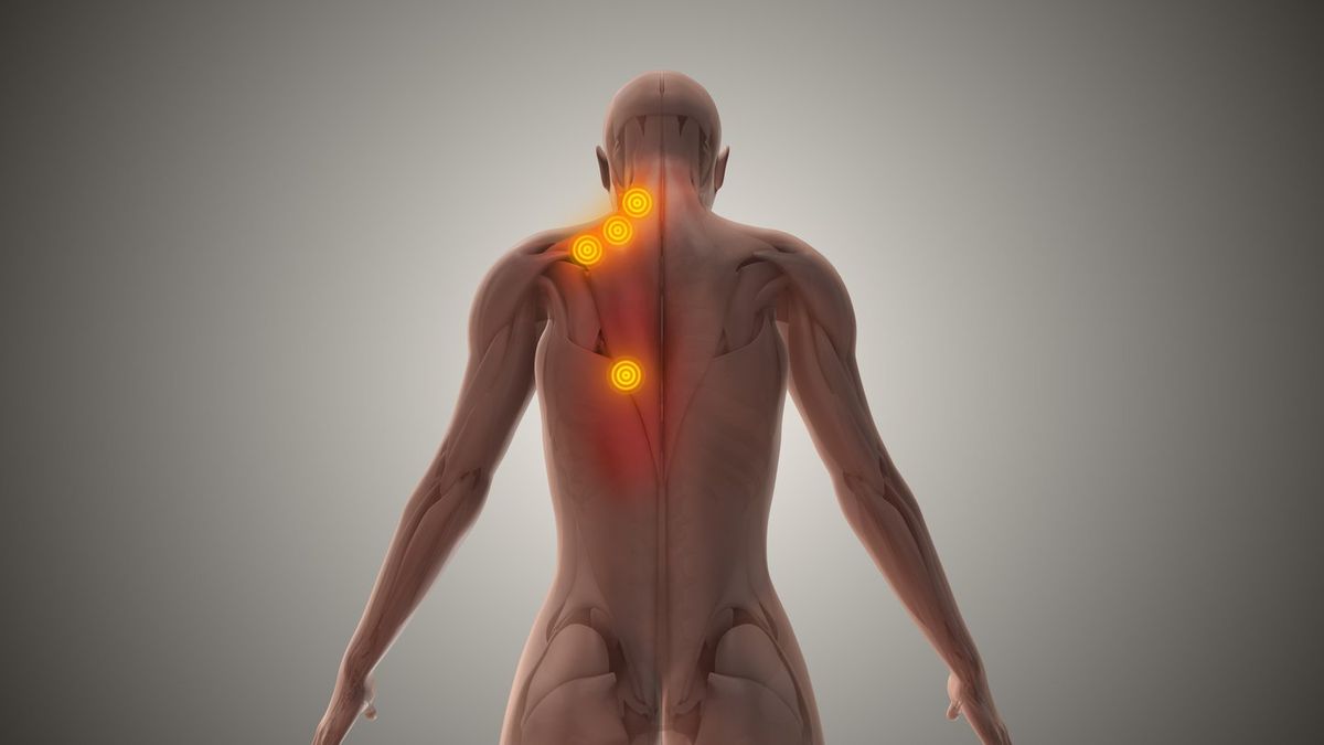 ‘Brown fat’ explained and where it’s usually stored