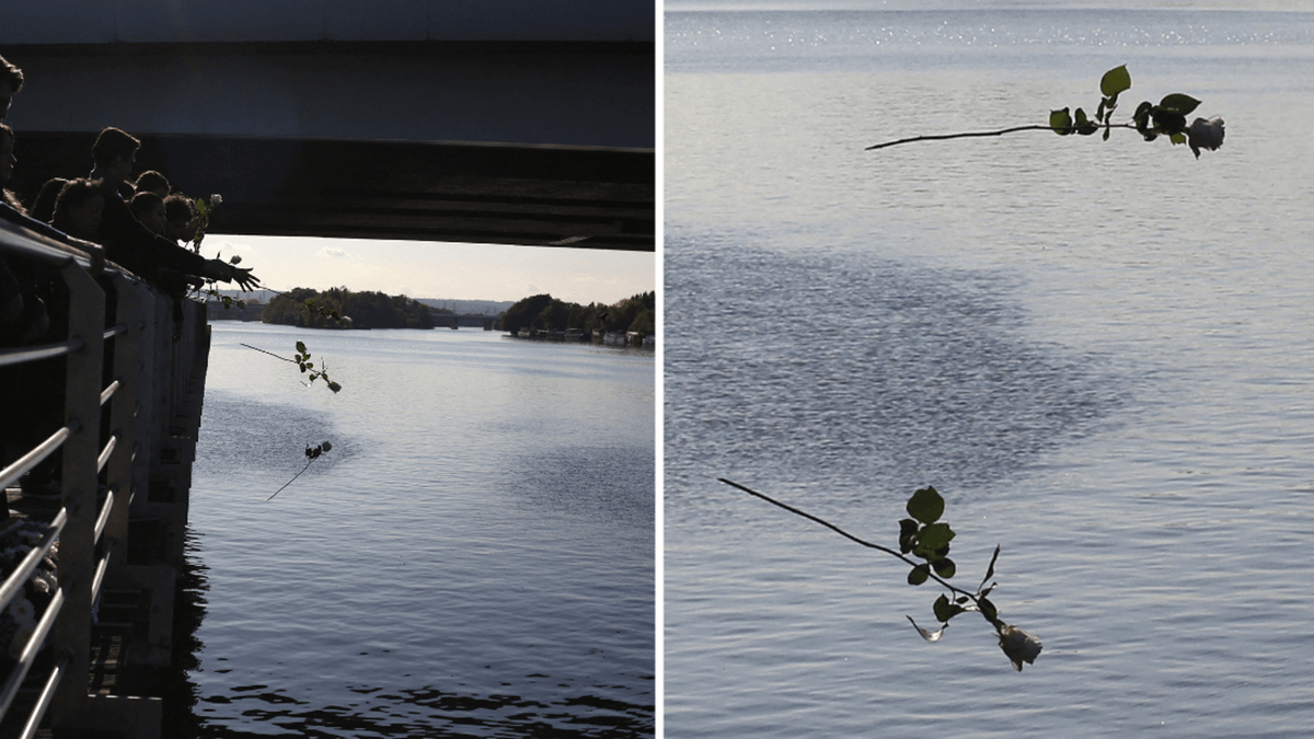 Heartbreaking reason why Olympics team threw roses in River Seine at ...