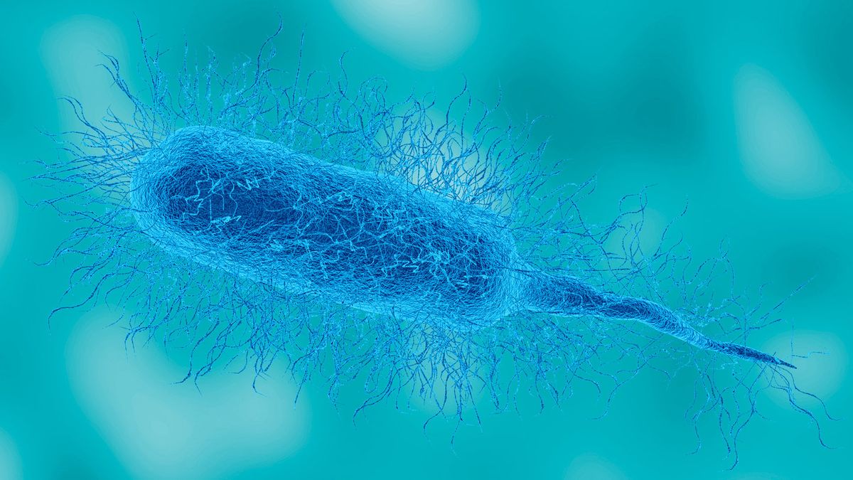 Two more people die after contracting flesh-eating virus as officials ...