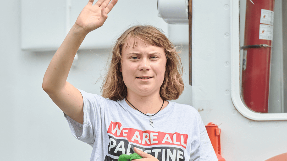 Israel gives update after Greta Thunberg was allegedly 'mistreated' and ...