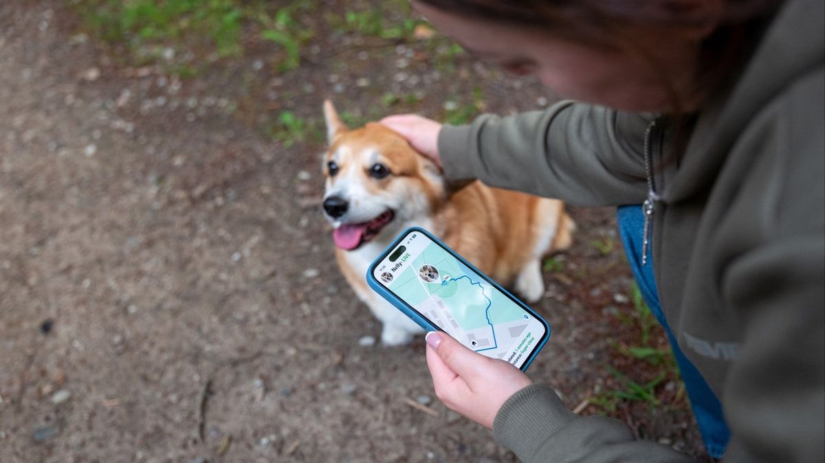 Pet owners are using Amazon tracker to monitor their furry friends