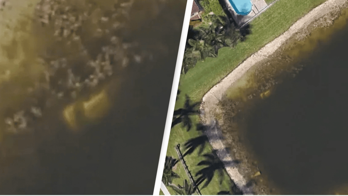 Remains of person missing for 22 years discovered by man using Google ...