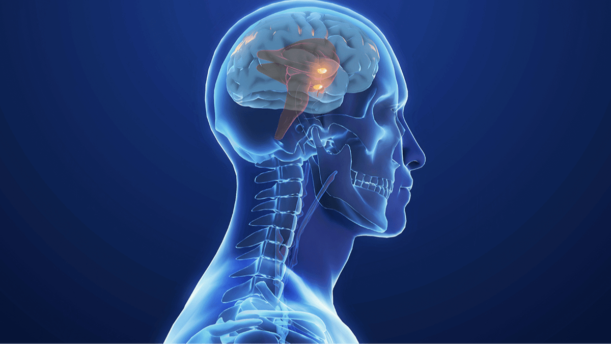 Everyone’s saying the same thing as new study reveals the exact age our ...