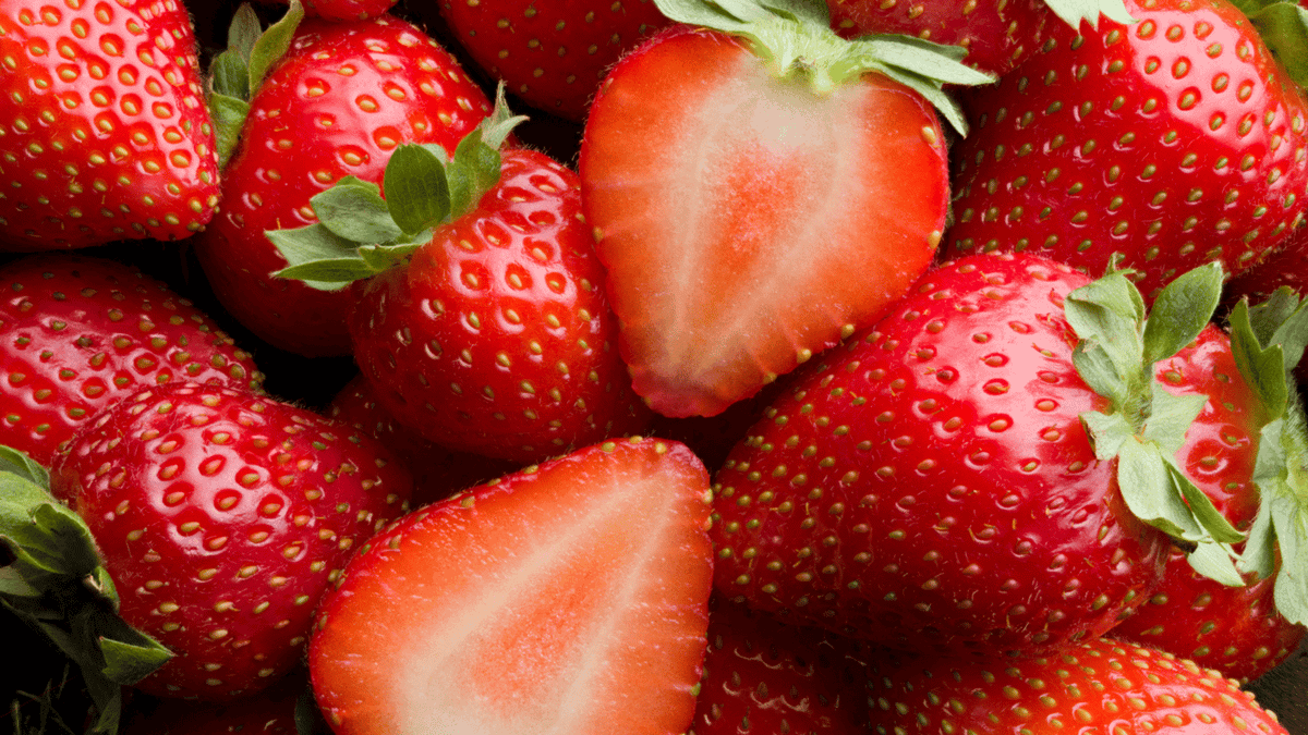 People left mind-blown after discovering what the white dots on ...