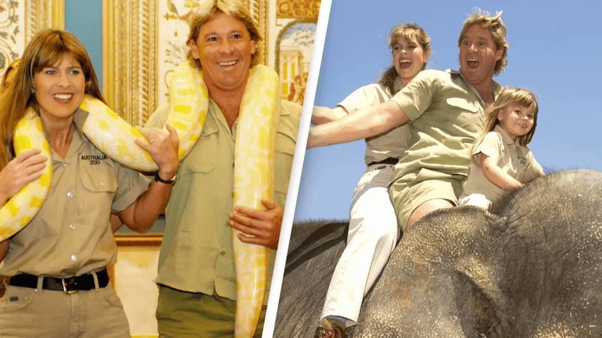 Heartbreaking reason Terri Irwin hasn't dated anyone else since Steve ...