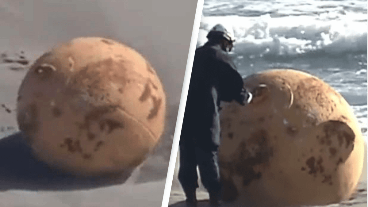 Mysterious giant sphere that washed up on Japanese beach appears to ...