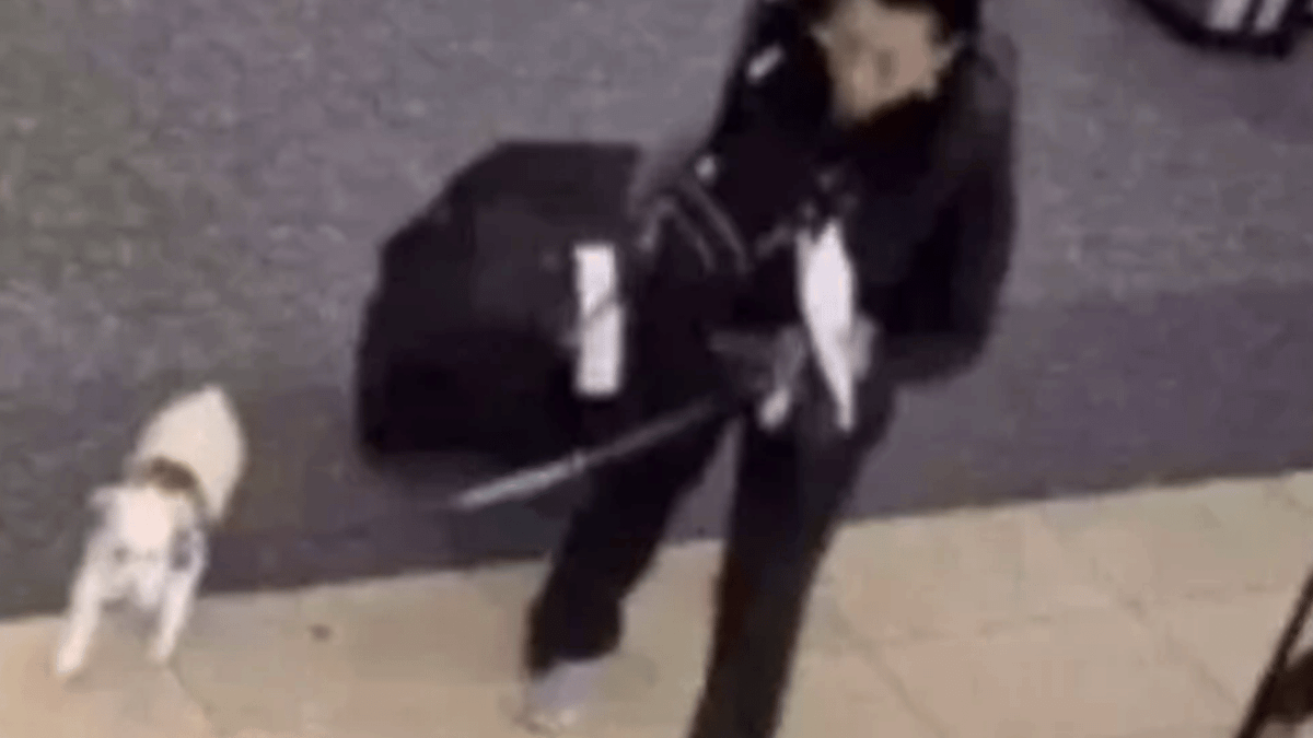 Airport worker makes horrifying discovery in dumpster after telling ...