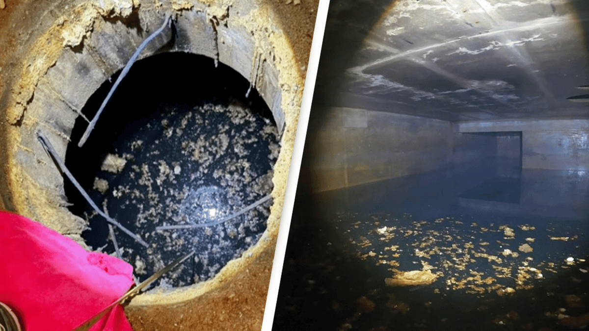 Eerie 100-year-old tunnel discovered beneath couple's home had a ...