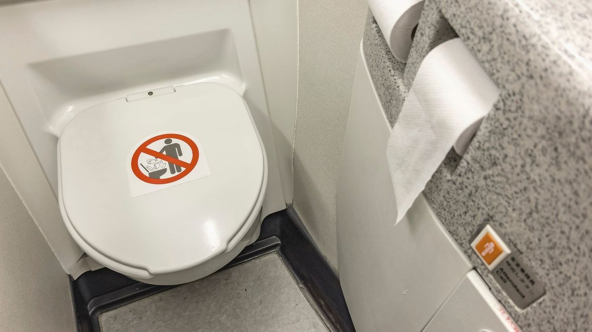 United Airlines passenger sparks major ‘plane pooping’ debate after ...