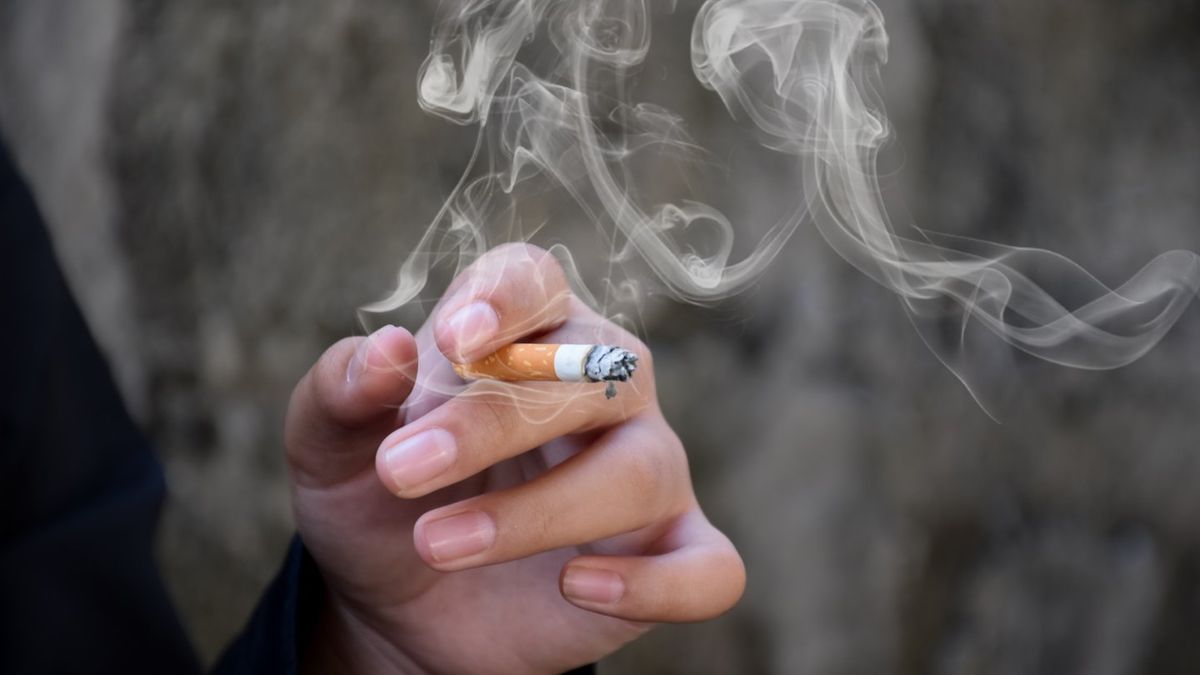 Scientists issue shocking health warning to anyone smoking two ...