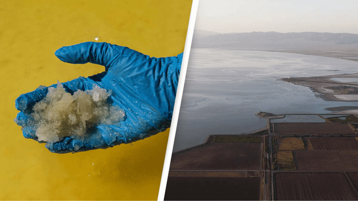 Scientists discover $540 billion worth of 'white gold' sitting beneath ...