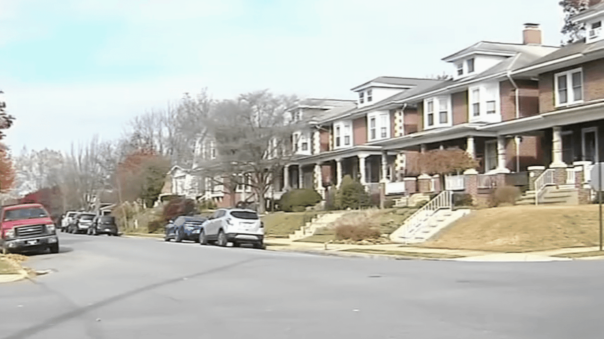 Dog shoots owner in terrible accident as police release shocking details