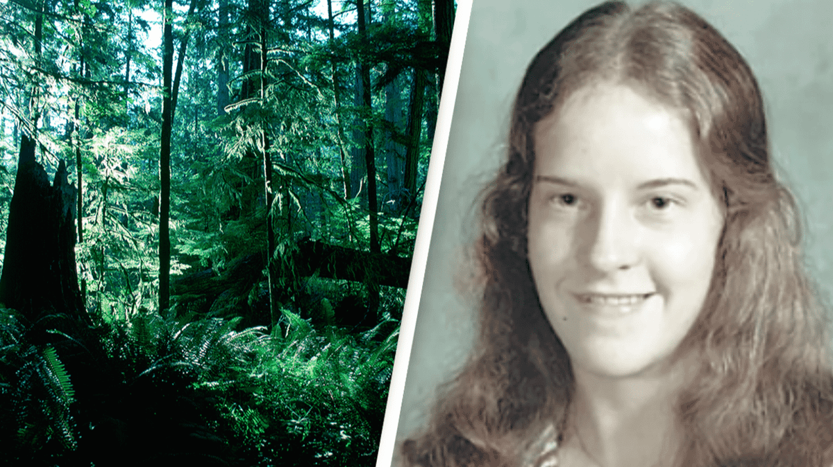 'Feral cannibals' feared to live in US national park where five people ...