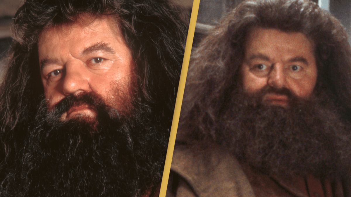 J.K. Rowling explained why it was important to never kill off Hagrid in ...