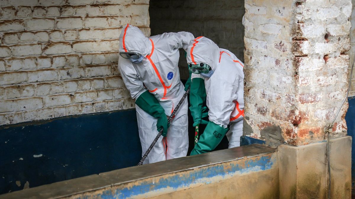 Ebola outbreak could become 'deadliest on record' as countries the ...