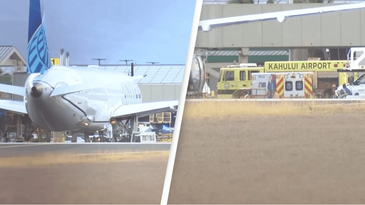 Officials left stumped after body is found in plane's landing gear ...
