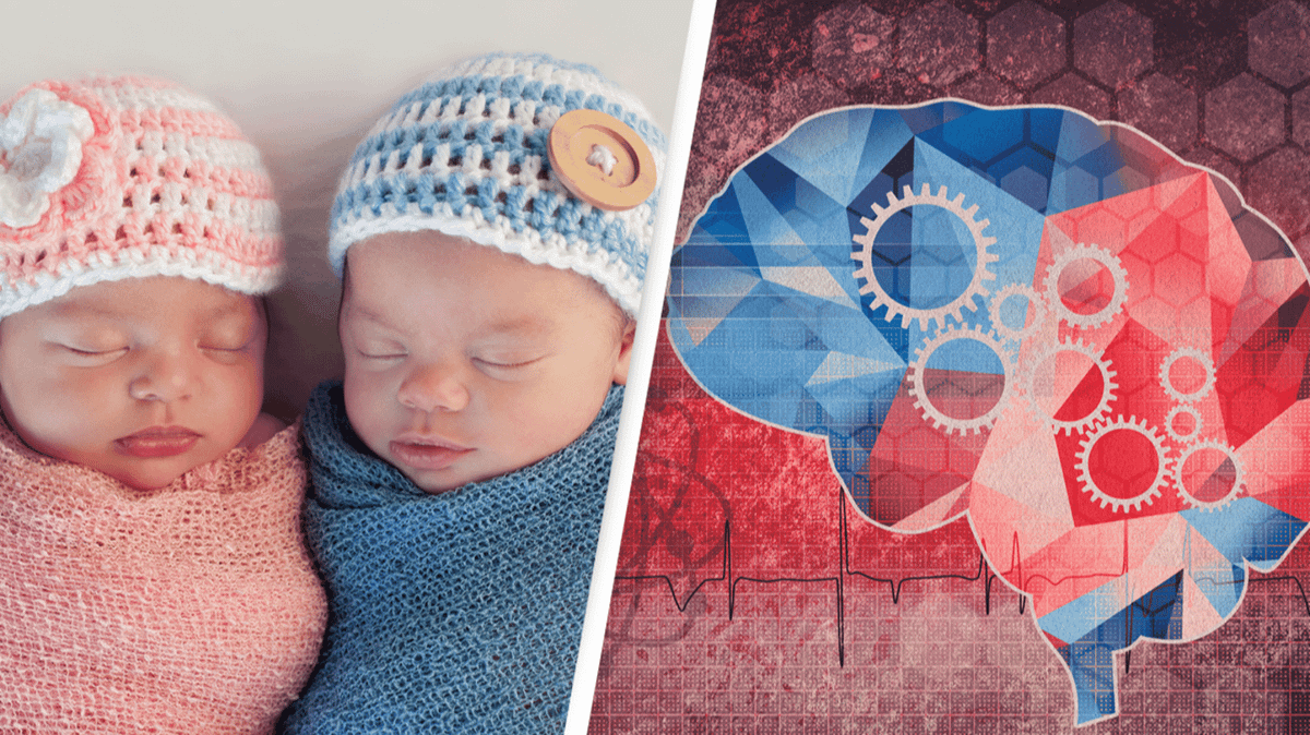 Identical twin claims to have 'twin telepathy' after being able to ...