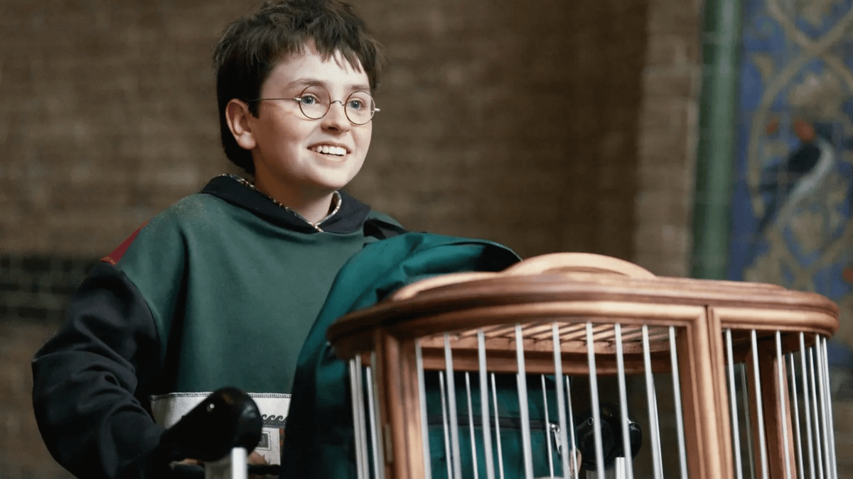 HBO’s Harry Potter series casts fan-favourite character who was ...