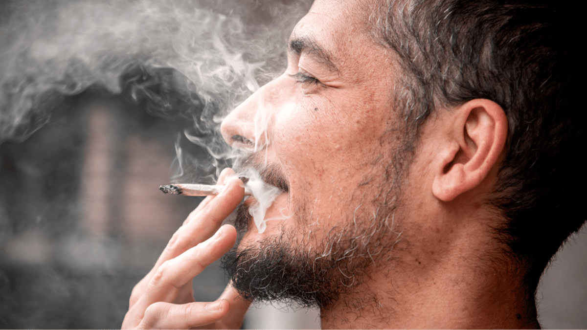 Simulation shows exactly what happens to your body after smoking weed ...