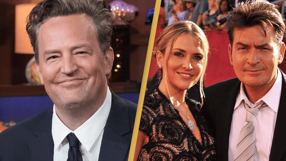 Lawyers for Charlie Sheen's ex-wife Brooke Mueller share statement ...