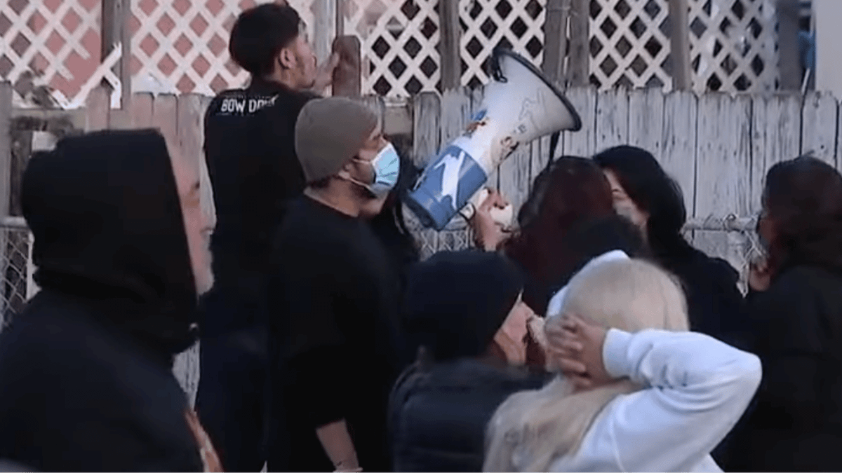 Residential mob attempt to surround 'serial cat killer's home' before ...
