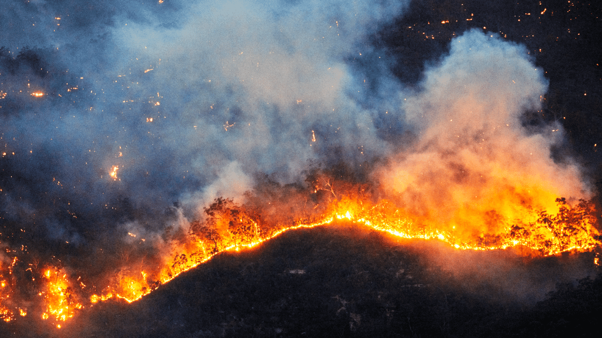 Map shows states at critical fire risk as 'red flag' weather warning issued
