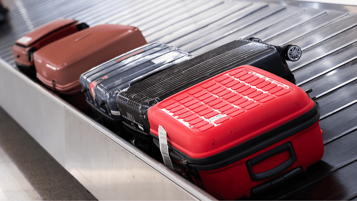 Baggage handler issues warning over one kind of suitcase you should ...