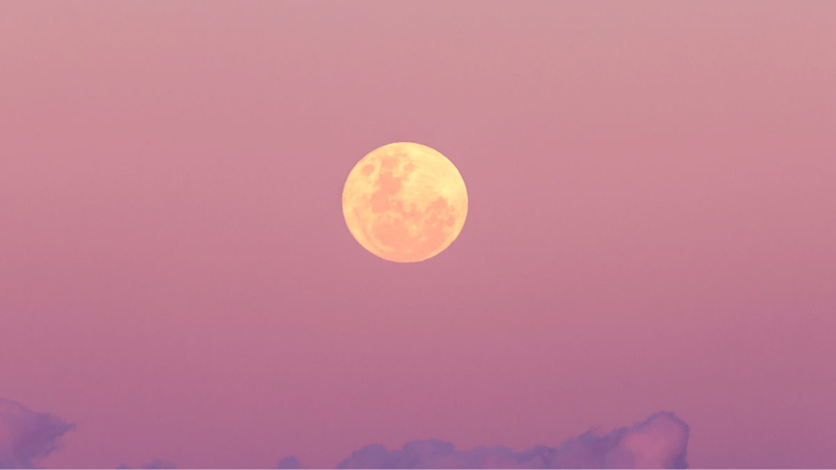 How to see rare pink ‘micromoon’ that will be visible this weekend