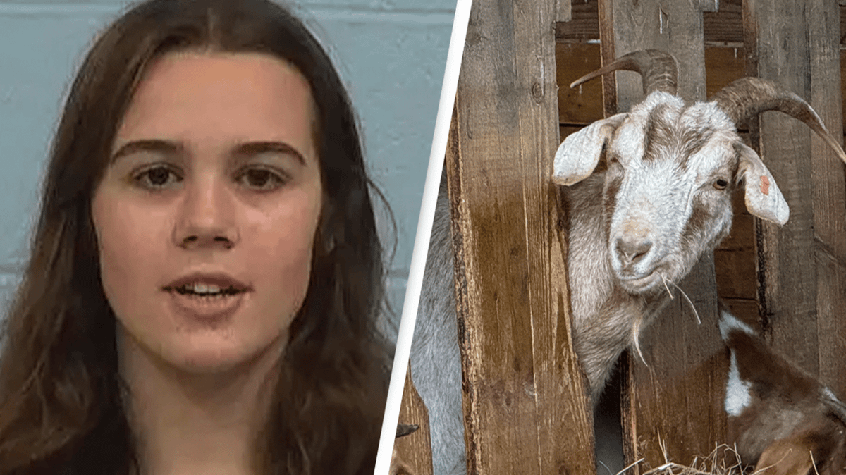 17-year-old girl charged with animal cruelty after 'poisoning her rival ...