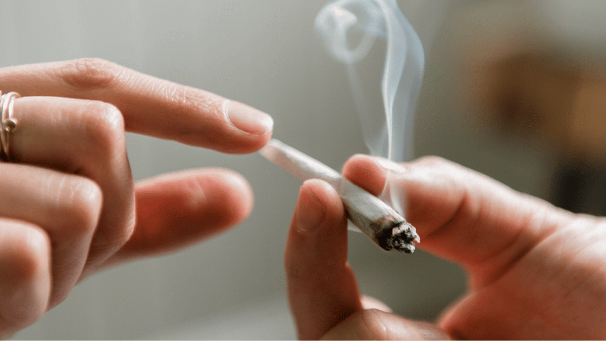Shocking marijuana study reveals secret risks that could outweigh ...