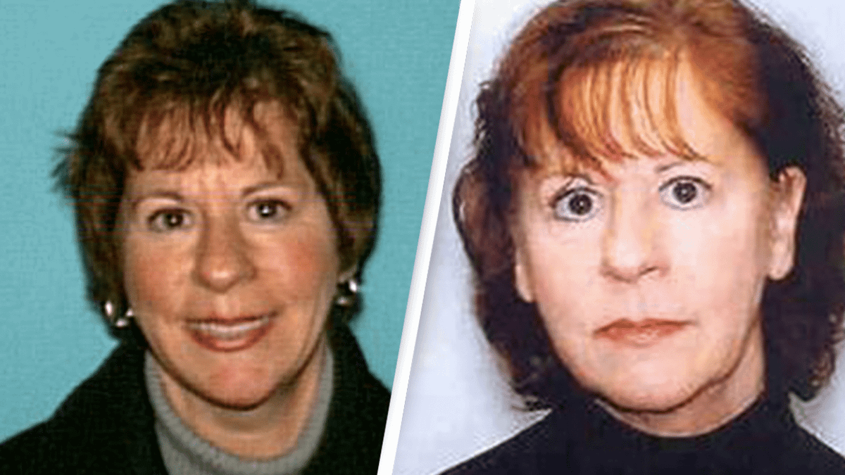 Mystery of woman who disappeared without a trace after hiking partner ...