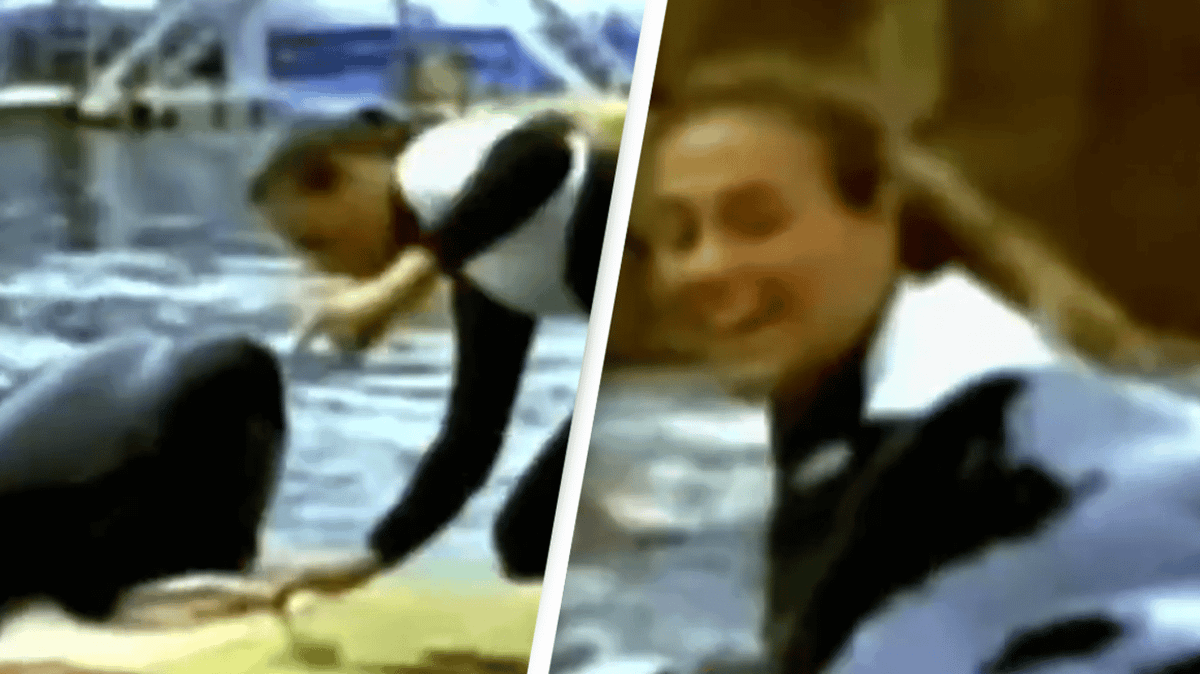 Shocking footage shows SeaWorld trainer's final moments before orca ...