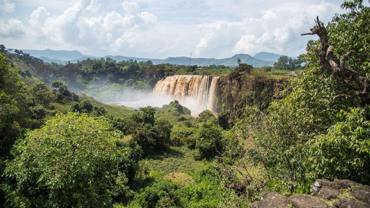 Researcher claims he's found the Garden of Eden and reveals where the ...