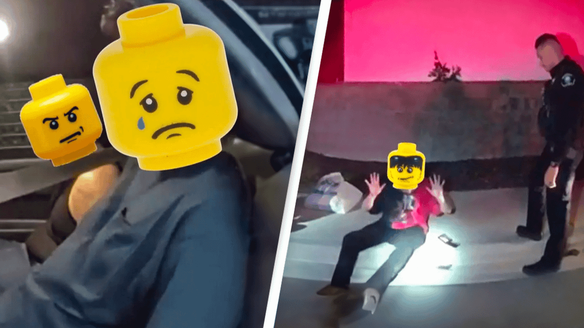 Strange reason why police started sharing photos of suspects with Lego ...