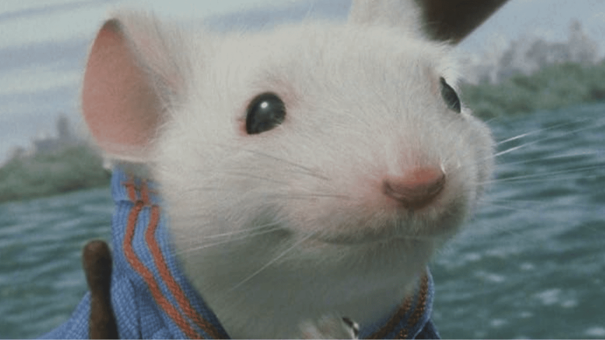 Stuart Little fans lose it as they discover major change depicted in ...